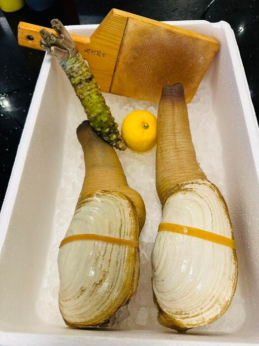 MIRUGAI(palourde royale/King clam) | Restaurant Kazumi
