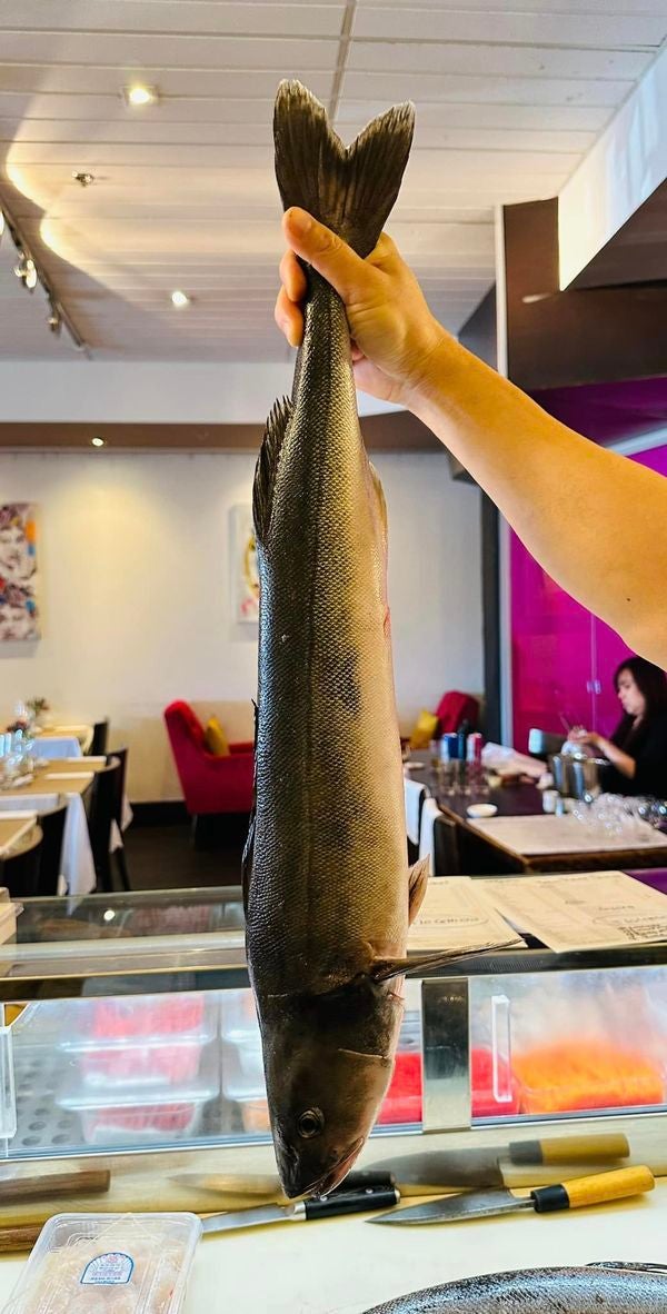 GINDARA(morue charbonnière/sablefish) | Restaurant Kazumi